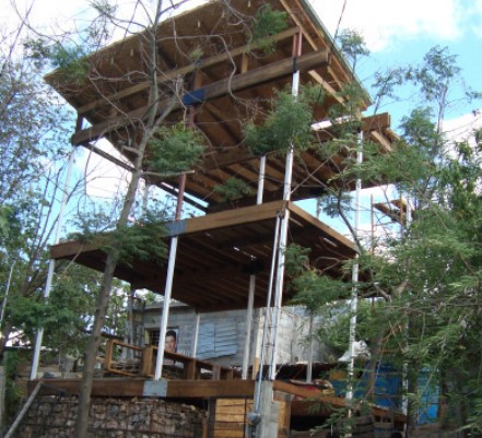 Diez Casa para Diez Familias (10 x 10) - designlikeyougiveadamn.com