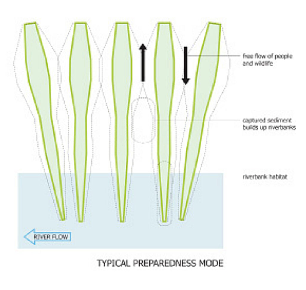 Alluvial Sponge Comb - designlikeyougiveadamn.com